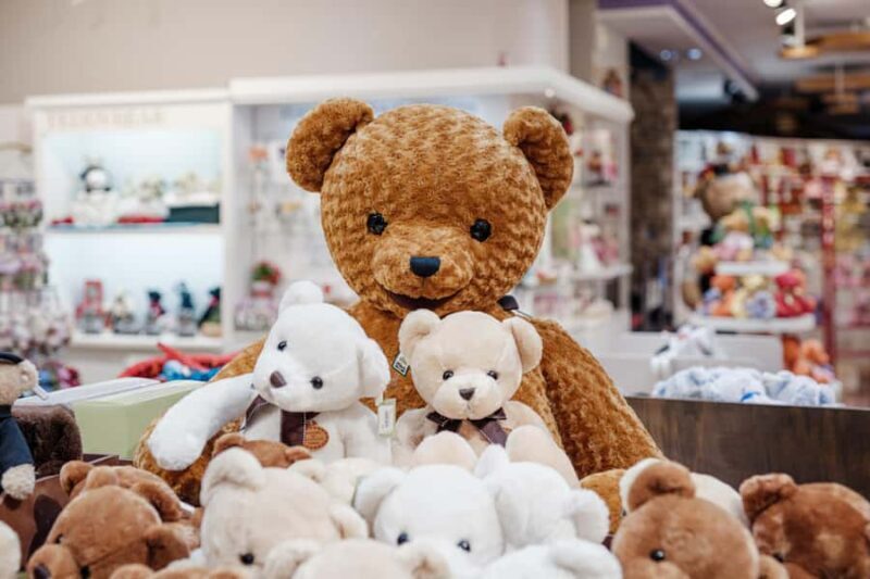 Jeju: Teddy Bear House TESEUM Entry Ticket - FAQ