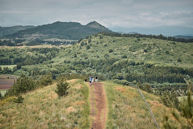 Jeju UNESCO Eco Trek Full Day Private Nature & Culture Tour - Final Thoughts