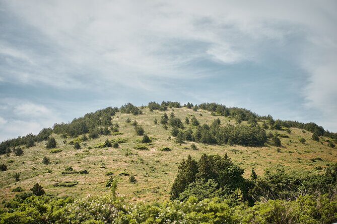 Jeju UNESCO Eco Trek Full Day Private Nature & Culture Tour - FAQs