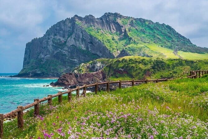 Jeju Unesco Eest course Package Private Van Guided Tour - Woljeongri Beach and Leisure Time