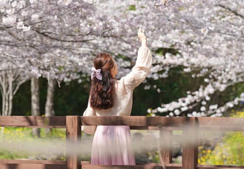 Jeju: UNESCO Heritage Sites Authentic Day Tour(Western) - Who Should Consider This Tour?