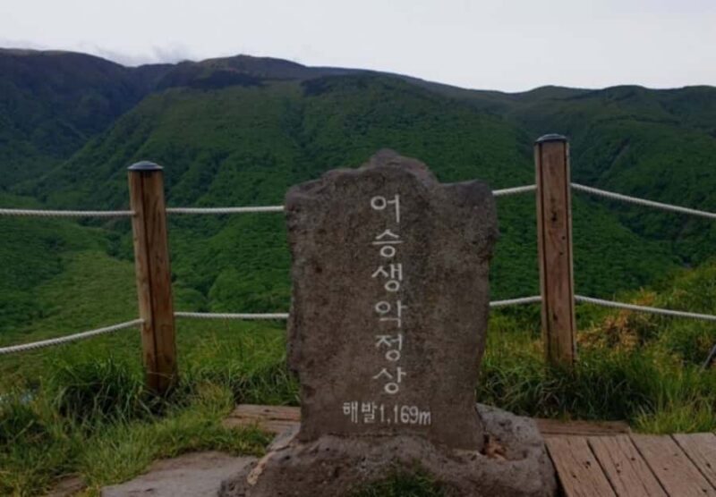 Jeju: UNESCO-Listed Southern Authentic Day Tour - An In-Depth Look at the Tour Experience