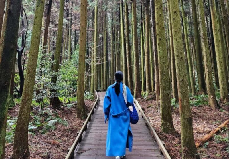 Jeju: UNESCO Sites Tour with Haenyeo Show(Eastern) - Key Points