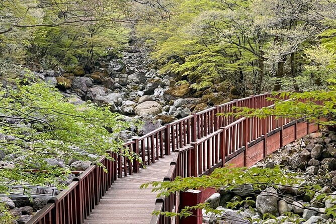 Jeju West Highlights Day Tour  Real Nature & Culture Experience - Key Points