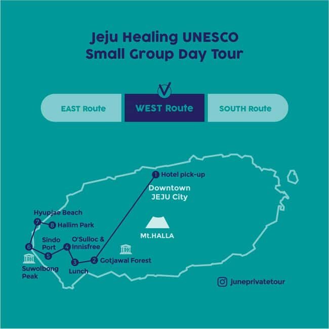 Jeju West: Small Group Healing Tour w/Caves & Dolphins - What the Reviews Say
