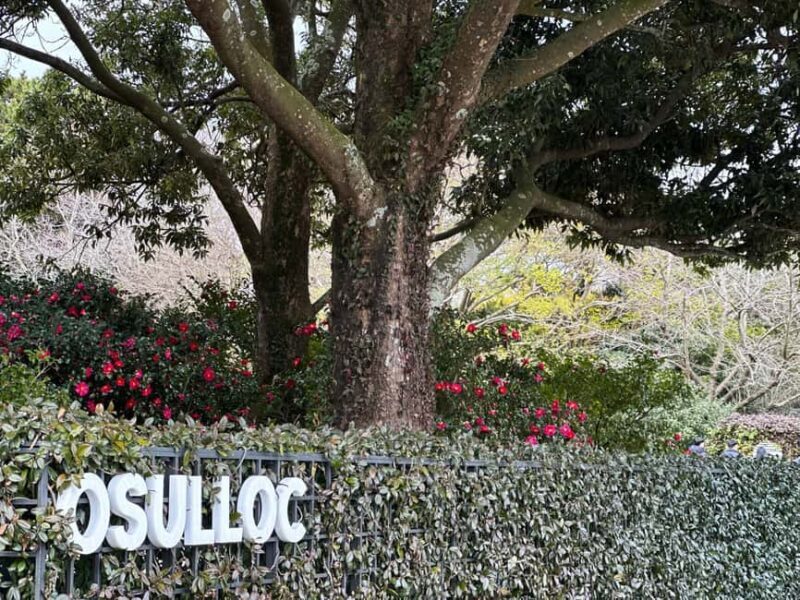 Jeju West: Small Group Healing Tour w/Caves & Dolphins - The Sum Up