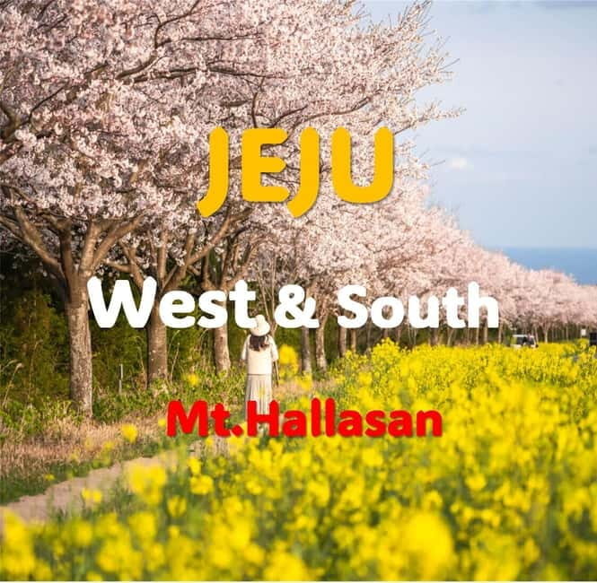 Jeju: Western and Southern Sightseeing Day Tour - The Sum Up