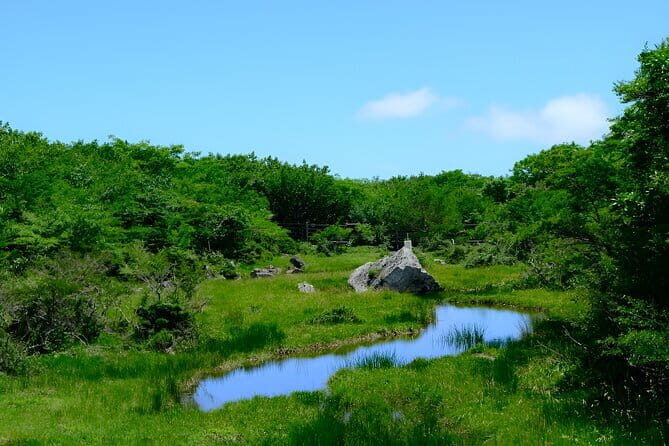 Jeju WEST&SOUTH One Day Tour with MT.halla & Aewol - Final Thoughts