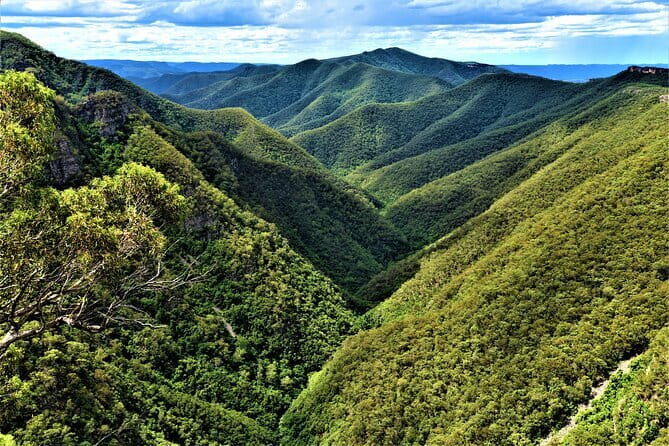 Jenolan Caves Blue Mountains Day Tour + River cruise - Scenic Drive and Landscape