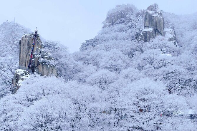 Jeonju Hanok Village and Daedunsan Serenity Nature Tour - An In-Depth Look at the Itinerary