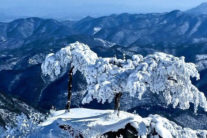 Jeonju Hanok Village and Daedunsan Serenity Nature Tour - What Travelers Are Saying