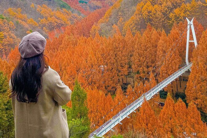 Jeonju Hanok Village and Jangtaesan Nature Tour - The Natural Joy of Jangtaesan: Scenic Trails and Breathtaking Views