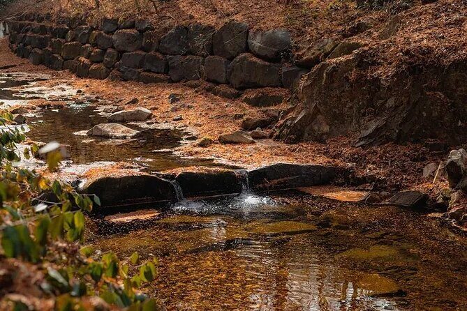 Jeonju Hanok Village and Jangtaesan Nature Tour - Who Will Love This Tour?