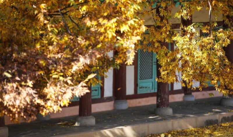 Jeonju Hanok Village Full-Day Tour:Jangtaesan Autumn Foliage - Authenticity, Audience, and Best Use Cases