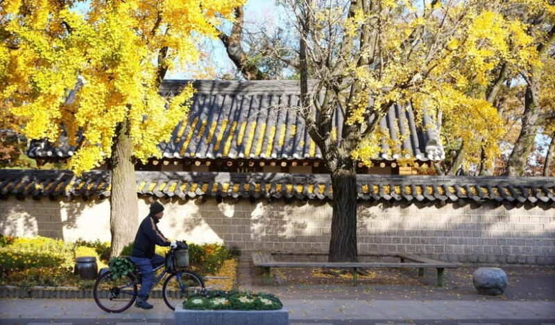 Jeonju Hanok Village Full-Day Tour:Jangtaesan Autumn Foliage - FAQ