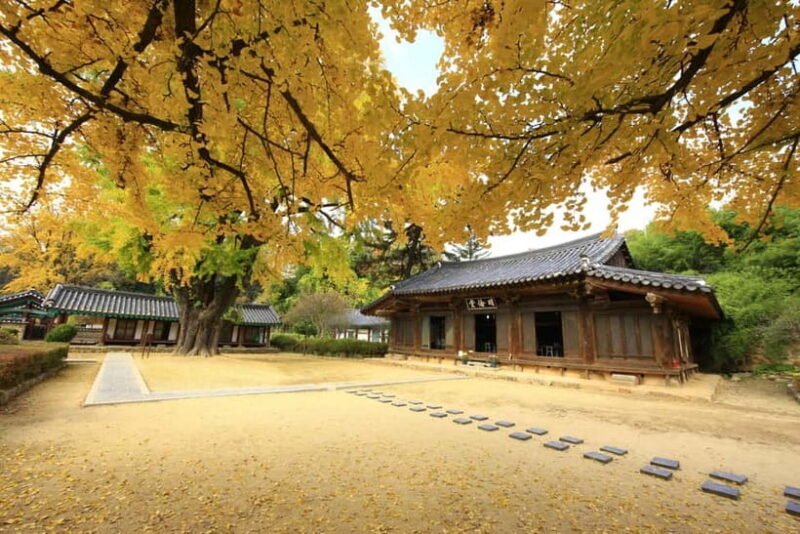 Jeonju Hanok Village Slow Walking Tour - FAQ
