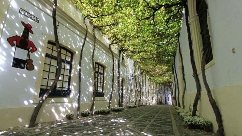 Jerez: 1.5-Hour Sherry Winery and Tasting Tour - Key Points