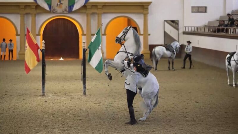 Jerez and Cadiz Private Tour from Seville - Who Is This Tour Best For?