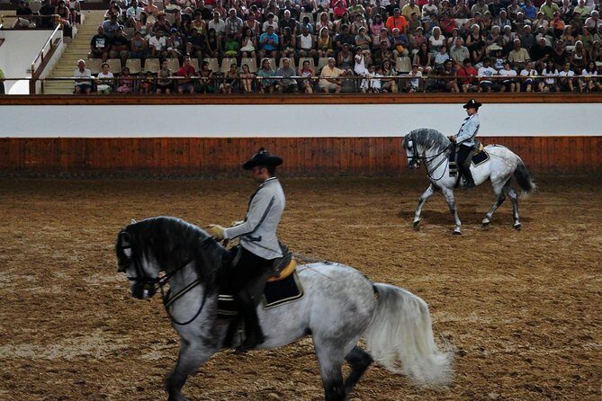 Jerez and Cadiz, with Horse Ballet and Sherry Tasting Full-day from Seville - Key Points
