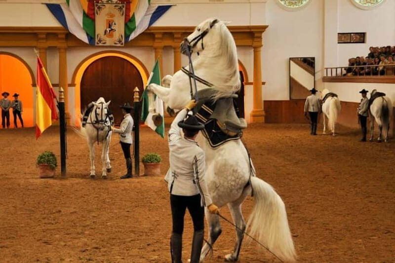 Jerez, Bodega Tío Pepe y Real Escuela de Arte Ecuestre - A Closer Look at the Day’s Highlights