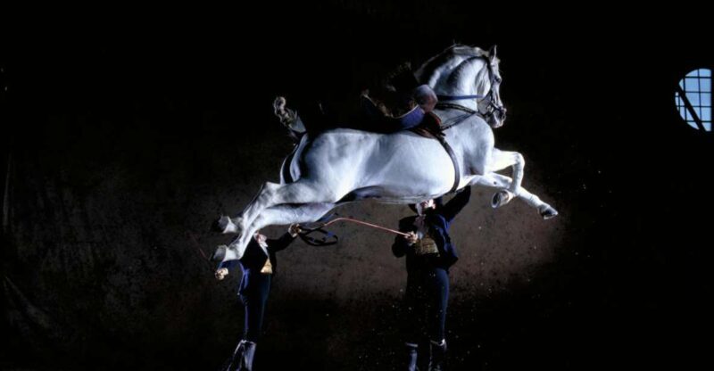 Jerez de la Frontera: Andalusian Horse Dance and Museums - The Itinerary: What You Can Expect