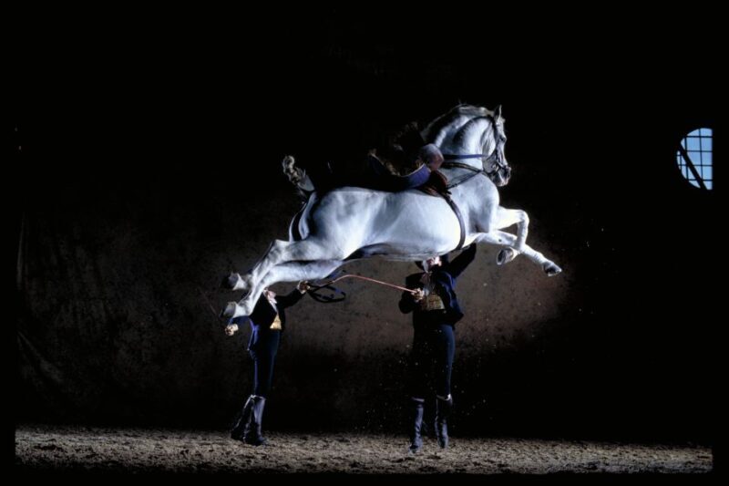 Jerez de la Frontera: Andalusian Horse Dance and Museums - The Experience and Practicalities