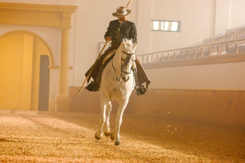 Jerez de la Frontera: How the Andalusian Horses Dance - The Sum Up