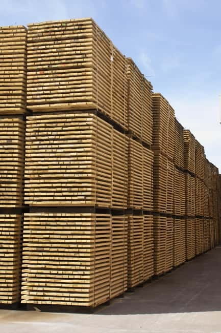 JEREZ DE LA FRONTERA: PREMIUM GUIDED TOUR TO THE COOPERAGE - What Makes This Tour Special?