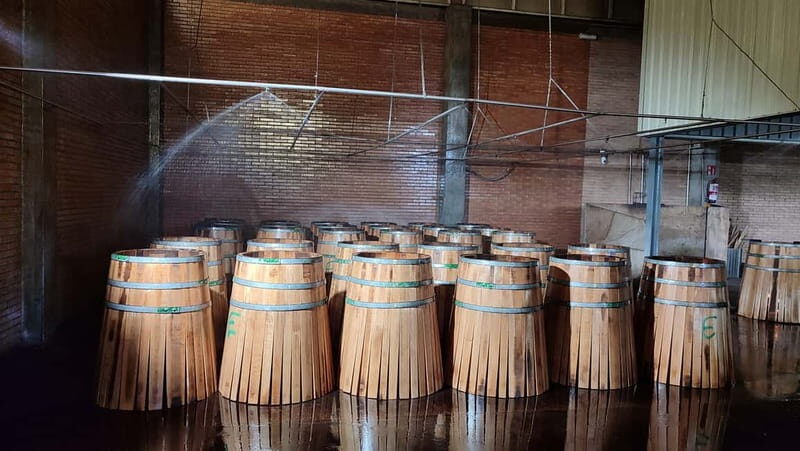 JEREZ DE LA FRONTERA: PREMIUM GUIDED TOUR TO THE COOPERAGE - The Value of Participation