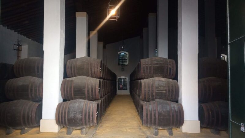 Jerez de la Frontera: Sherry Winery Tour with Tasting - An In-Depth Look at the Tour Experience
