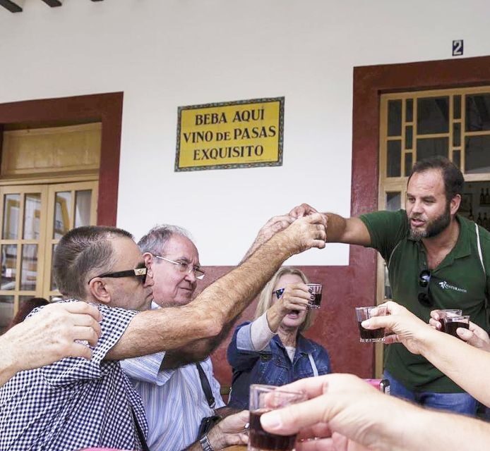 Jerez: Guided Winery Tour with Wine Tasting - An In-Depth Look at the Cayetano del Pino Winery Tour