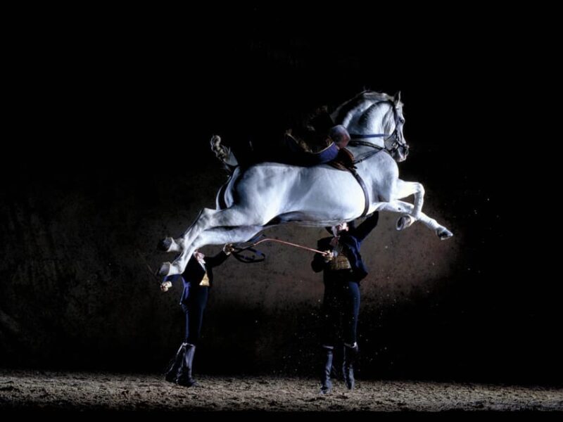 Jerez: Historic center of Jerez and horse show - Exploring Jerez: What Makes This Tour Special?