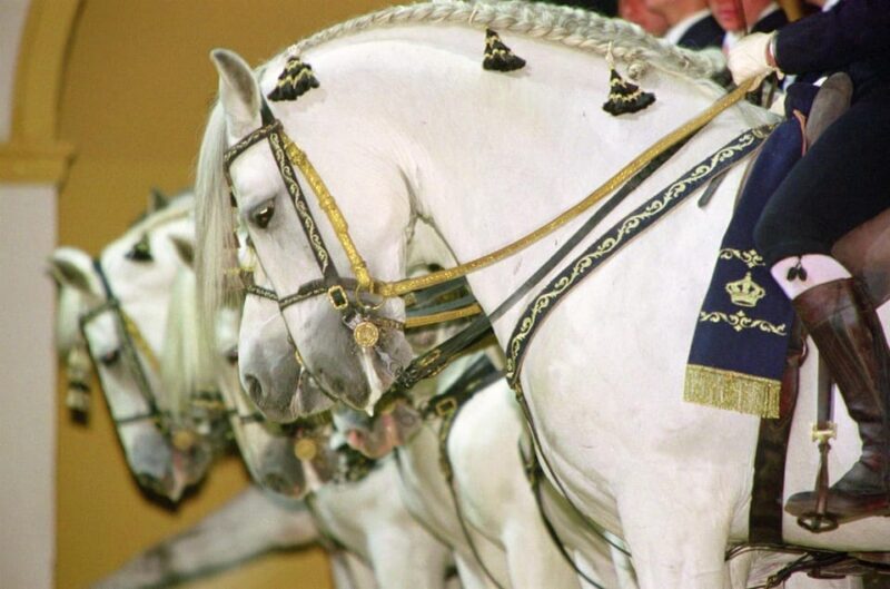 Jerez: Historic center of Jerez and horse show - Practical Tips for a Smooth Visit