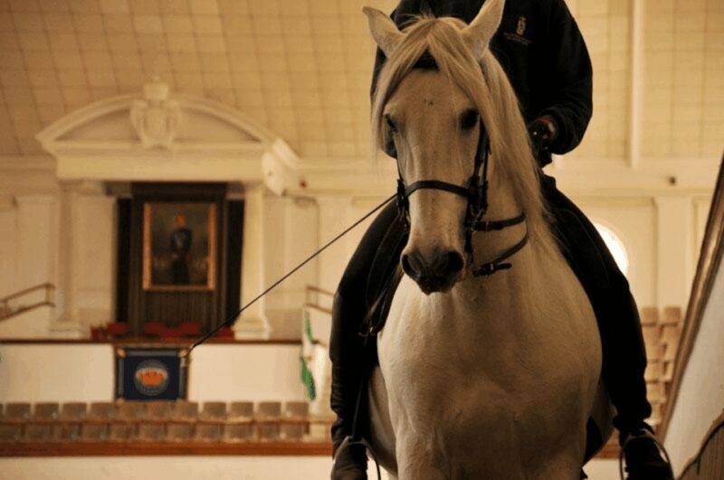 Jerez Private Tour From Seville: Wine and Equestrian Art - The Spectacle of Andalusian Horses
