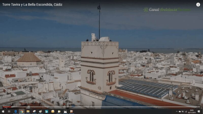 Jerez Private Tour From Seville: Wine and Equestrian Art - Optional Visits and Personal Time