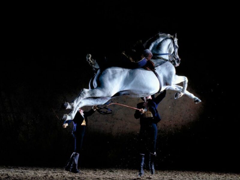 Jerez Private Tour From Seville: Wine and Equestrian Art - Final Thoughts: Is It Worth It?