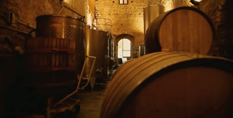 Jerez Private Tour From Seville: Wine and Equestrian Art - Who Should Consider This Tour?