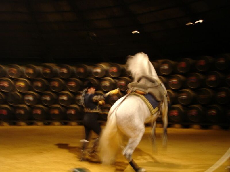 Jerez Private Tour From Seville: Wine and Equestrian Art - FAQ