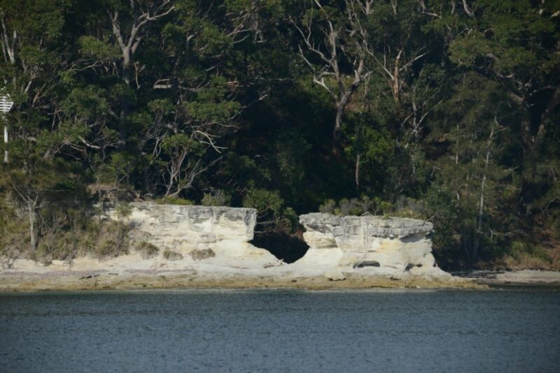 Jervis Bay: 2-Hour Cruise of Jervis Bay Passage - What to Expect from the Jervis Bay Marine Park Cruise
