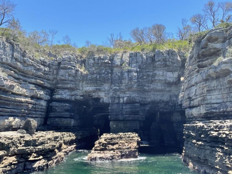 Jervis Bay: 2-Hour Cruise of Jervis Bay Passage - Marine Life and Bird Watching