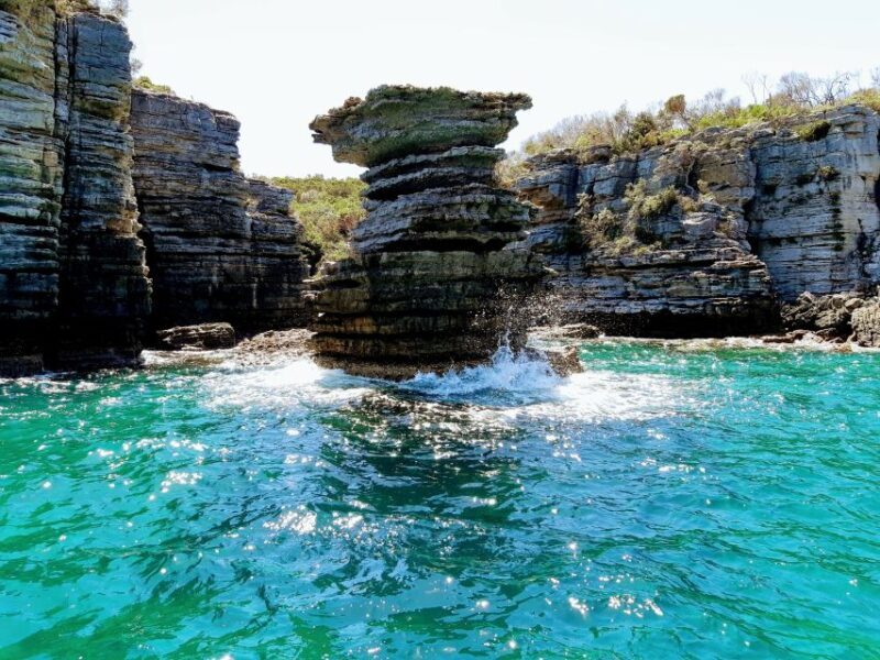 Jervis Bay: 2-Hour Cruise of Jervis Bay Passage - The Experience from Reviews