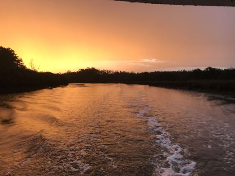 Jervis Bay: 2-Hour Sunset River Cruise - The Itinerary: What You Can Expect