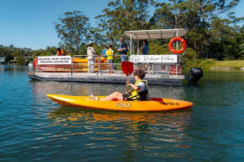 Jervis Bay: Currambene Creek Kayak Tour with Guide - Setting the Scene: What to Expect on the Water