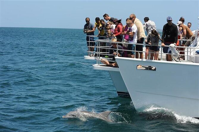 Jervis Bay Dolphin Cruise - What to Expect on the Jervis Bay Dolphin Cruise