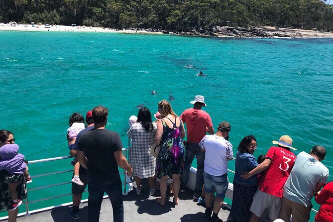 Jervis Bay Dolphin Cruise - Who Should Consider This Cruise?