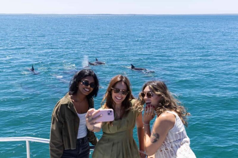 Jervis Bay Dolphin Cruise, Lunch, Berry&Kiama Blowhole Tour - An In-Depth Look at the Tour Experience