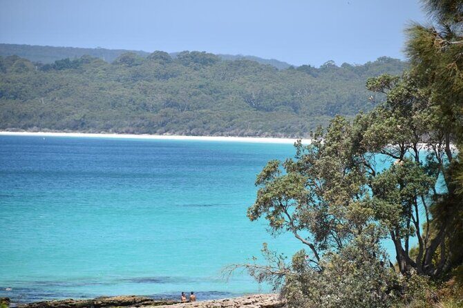 Jervis Bay & Dolphins Cruise - One Day Tour - The Group and Logistics