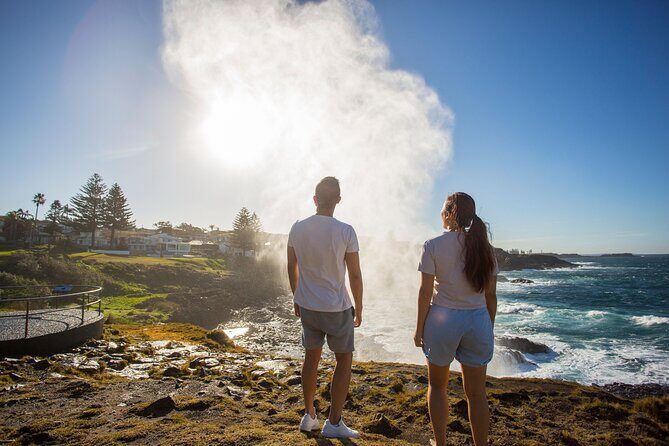 Jervis Bay Full Day Tour Dolphin Cruise and Kiama Blowhole - A Full-Day Adventure from Sydney to Coastal Wonders