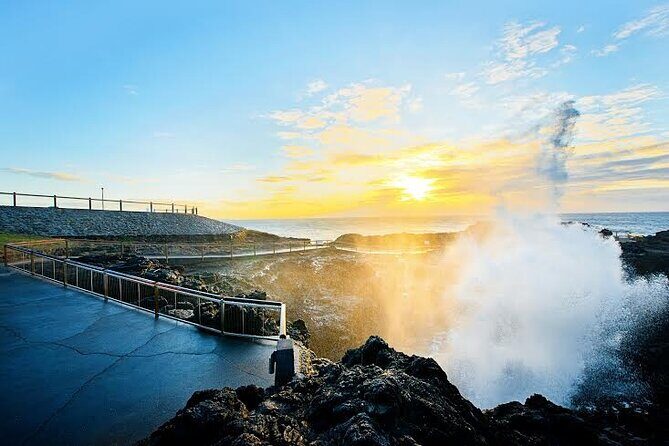 Jervis Bay Full Day Tour Dolphin Cruise and Kiama Blowhole - Practical Details and Value