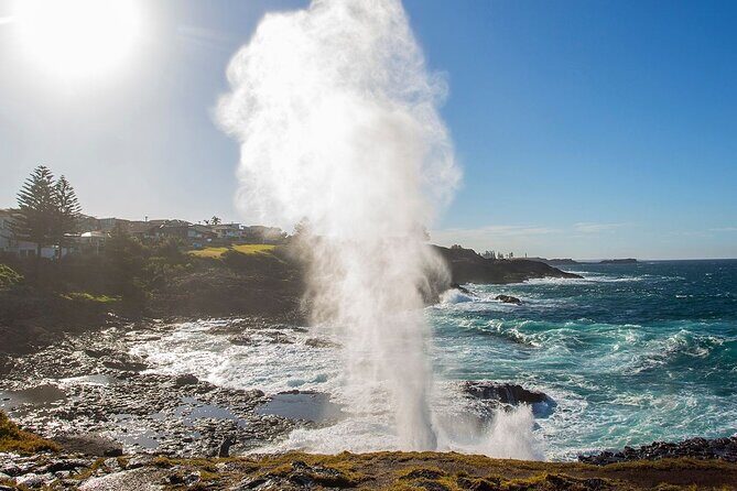 Jervis Bay Full Day Tour Dolphin Cruise and Kiama Blowhole - Who Will Enjoy This Tour?